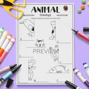 Animals | Draw The Other Half Activity | Fun ESL Worksheet