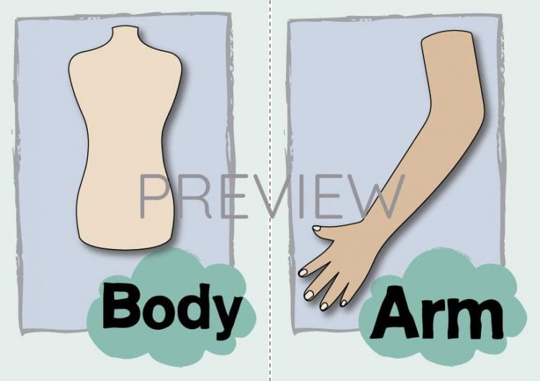 Body and Arm Flashcard | Gru Languages