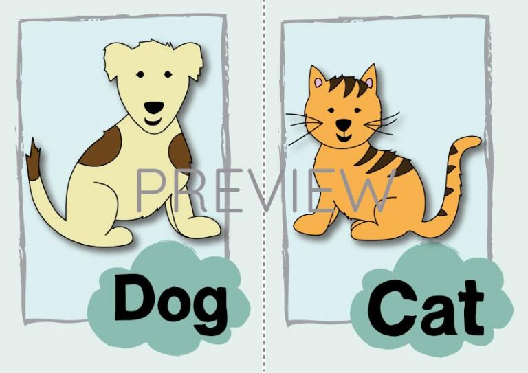 Cat and Dog Flashcard | Gru Languages