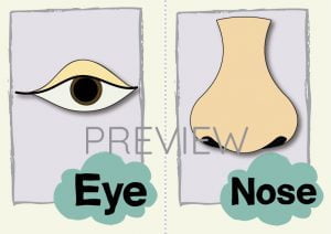 Eye and Nose Flashcard | Gru Languages