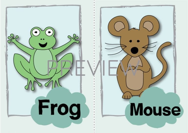 Frog and Mouse Flashcard | Gru Languages