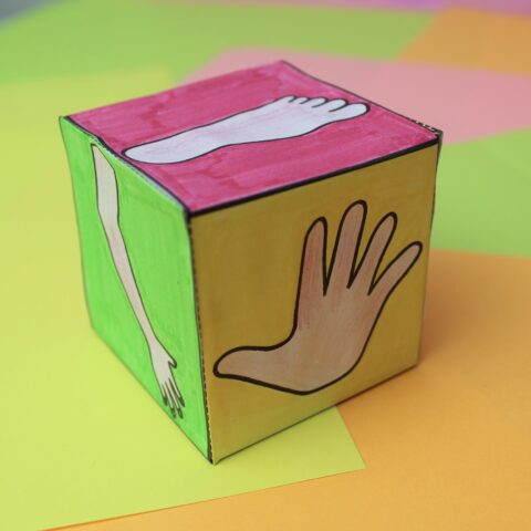 Body | Dice Craft Activity | Fun ESL Worksheet For Kids