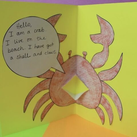 Under The Sea | Pop Up Cards Craft | ESL Worksheet For Kids