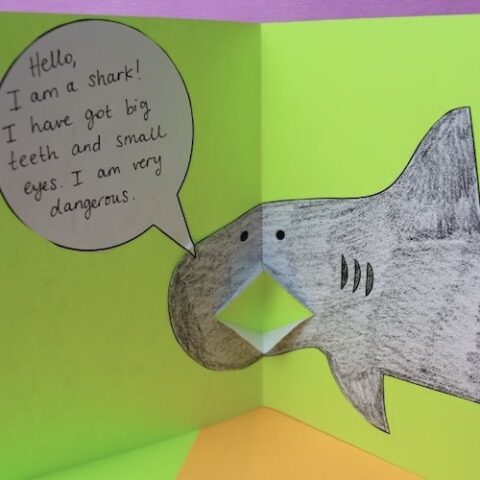 Under The Sea | Pop Up Cards Craft | ESL Worksheet For Kids