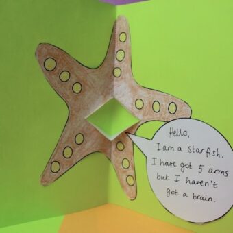 Under The Sea | Pop Up Cards Craft | ESL Worksheet For Kids