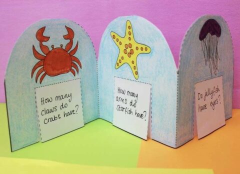 Under The Sea | Quiz Book Craft | Fun ESL Worksheet For Kids