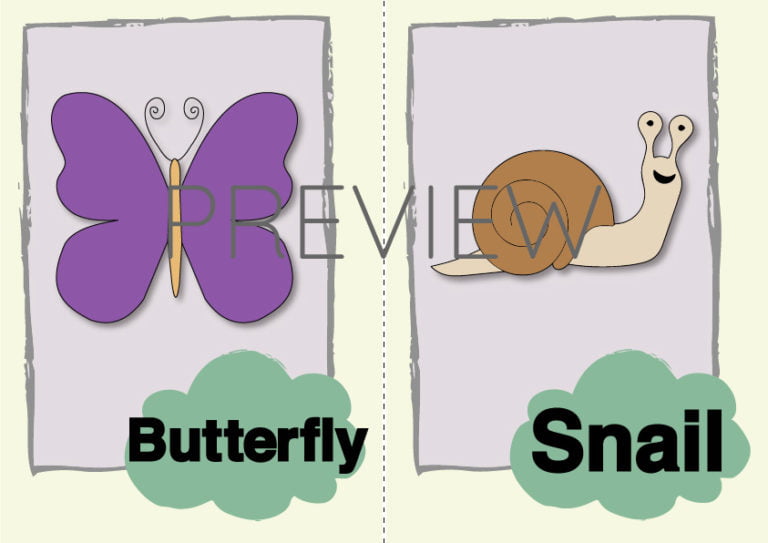 Butterfly and Snail Flashcard | Gru Languages