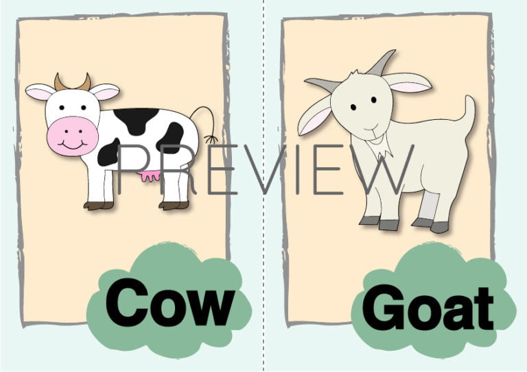 Cow and Goat Flashcard | Gru Languages