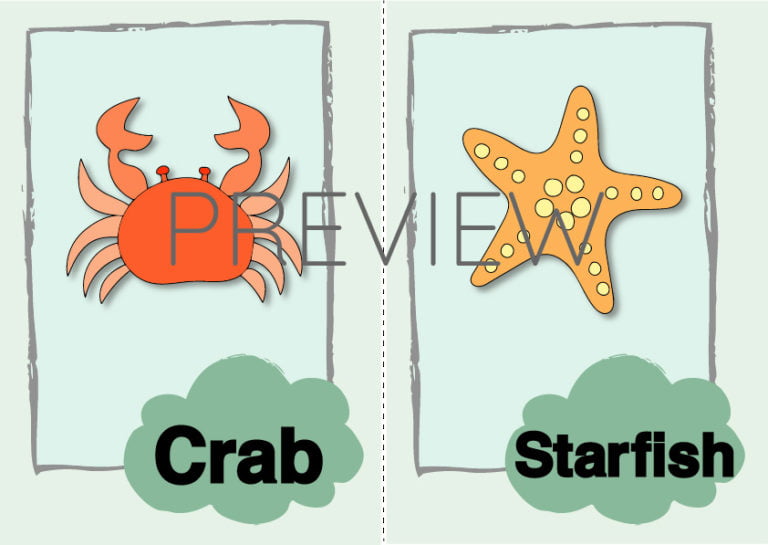Crab and Starfish Flashcard | Gru Languages