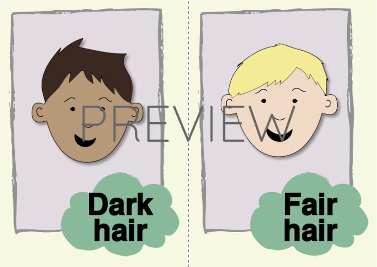 Dark Hair and Fair Hair Flashcard | Gru Languages