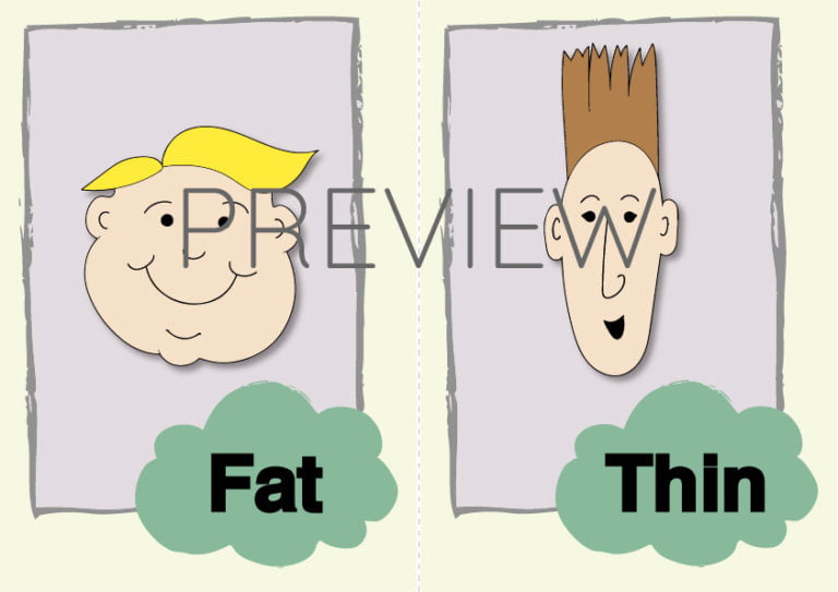 Fat and Thin Flashcard | Gru Languages