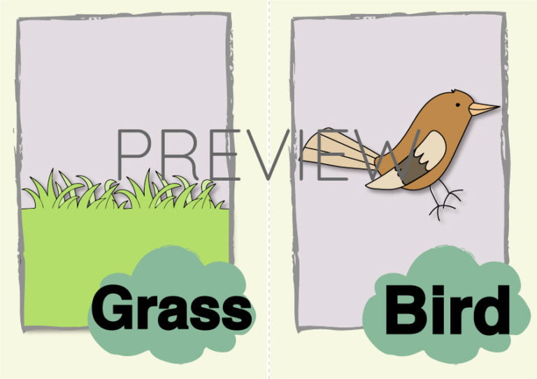 Grass and Bird Flashcard | Gru Languages