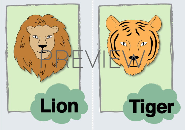 Lion and Tiger Flashcard | Gru Languages