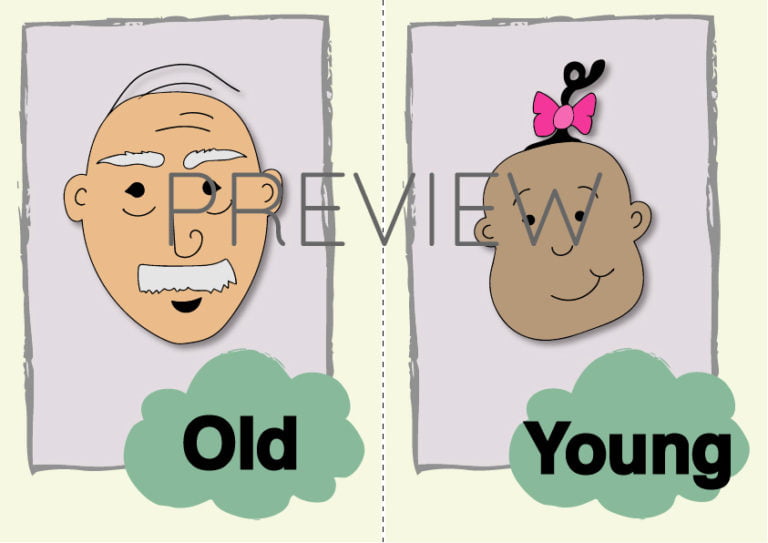Old and Young Flashcard | Gru Languages
