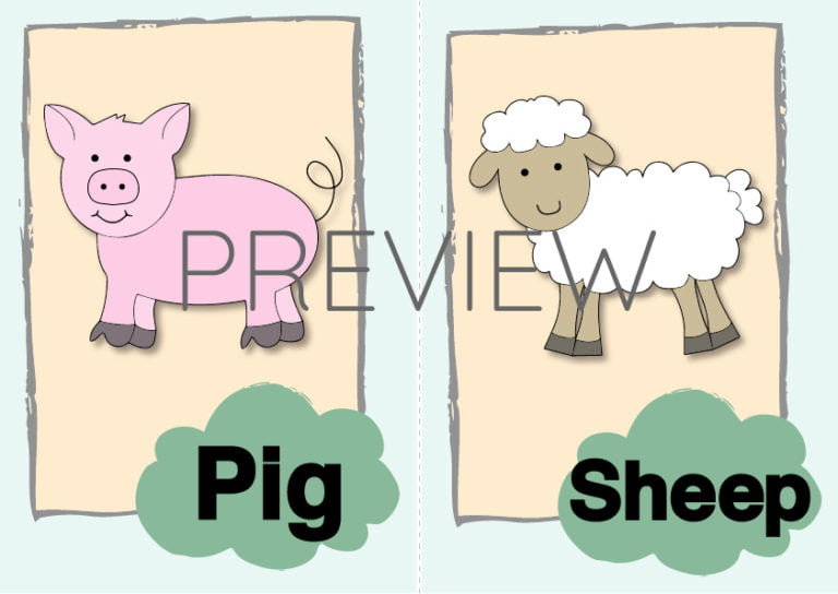 Pig and Sheep Flashcard | Gru Languages