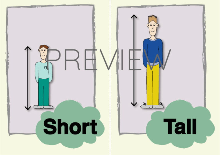 Short and Tall Flashcard | Gru Languages