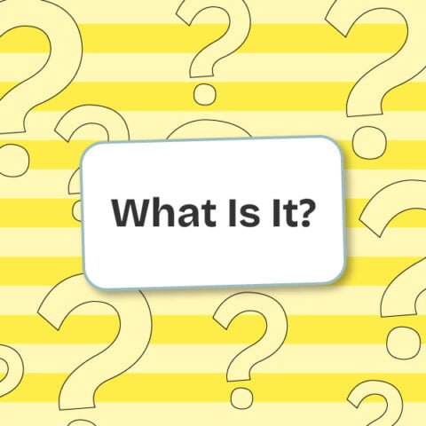 What's Missing? | Online Games for Children learning English